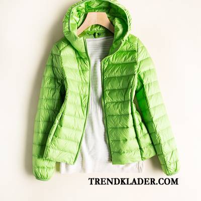 Dunjacka Dam Lätt Och Tunt Slim Fit Kappor Rockar 2018 Utomhus Super ...