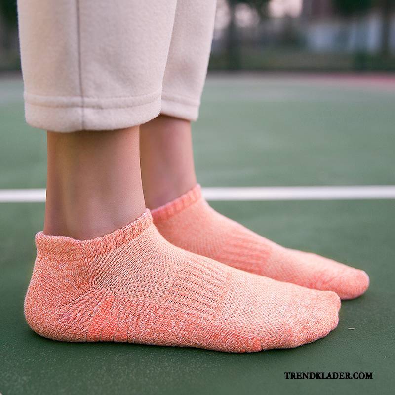 Strumpor Dam Handduk Höst Vinter Sport Låg Korta Strumpor Pulver Till Salu